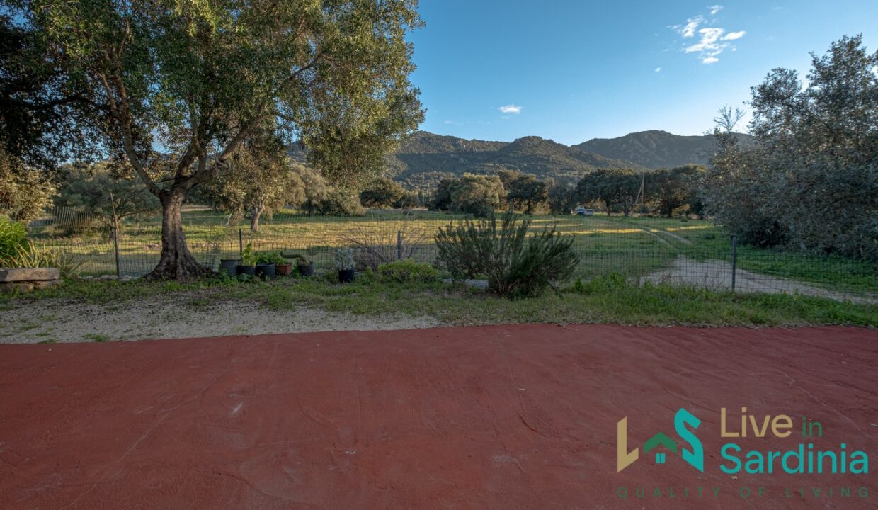 Country Home For Sale Monti Sardinia Ref Su Canale - Live Sardinia