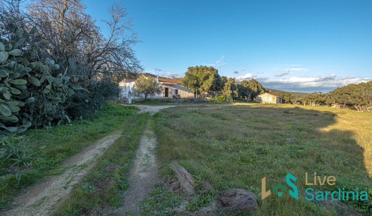 Country Home For Sale Monti Sardinia Ref Su Canale - Live Sardinia