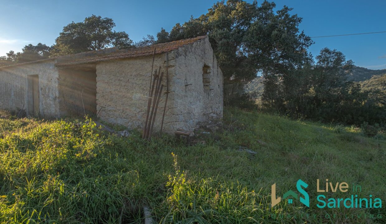 Country Home For Sale Monti Sardinia Ref Su Canale - Live Sardinia