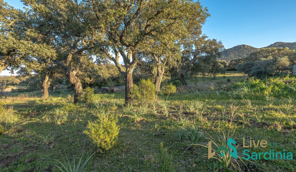 Country Home For Sale Monti Sardinia Ref Su Canale - Live Sardinia