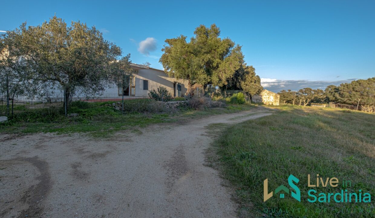 Country Home For Sale Monti Sardinia Ref Su Canale - Live Sardinia